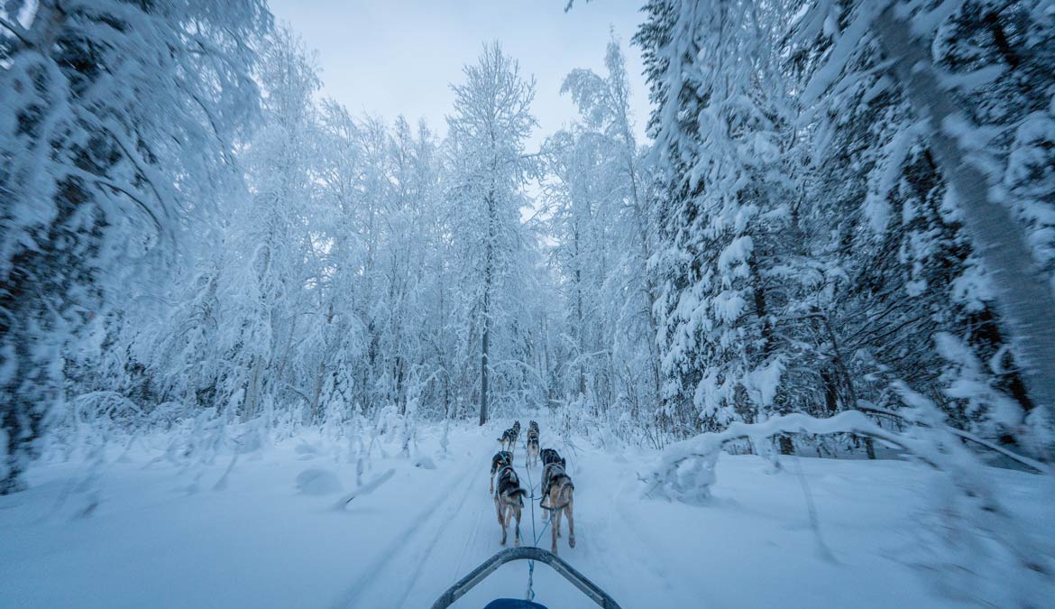 Andorra in winter: unique activities for the whole family